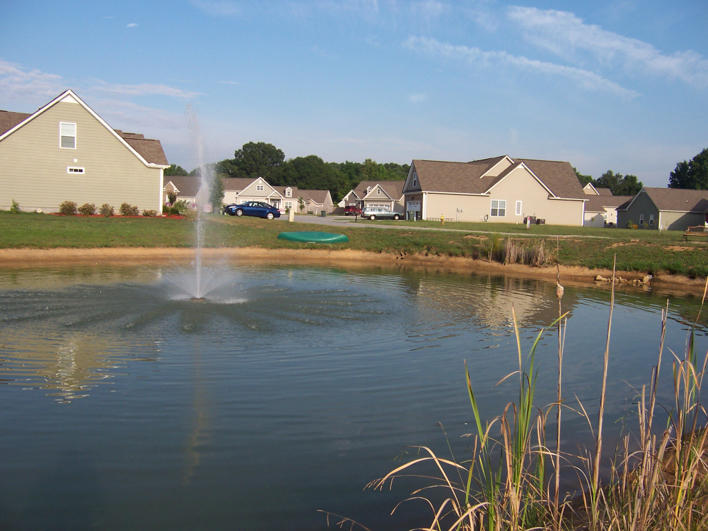 About Us - Waterhaven